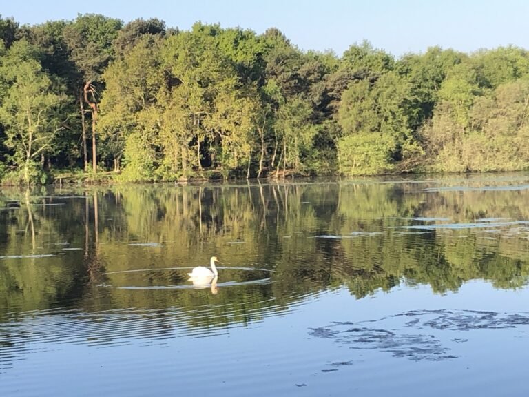 7 Ways To Incorporate Free Fitness In Sutton Park